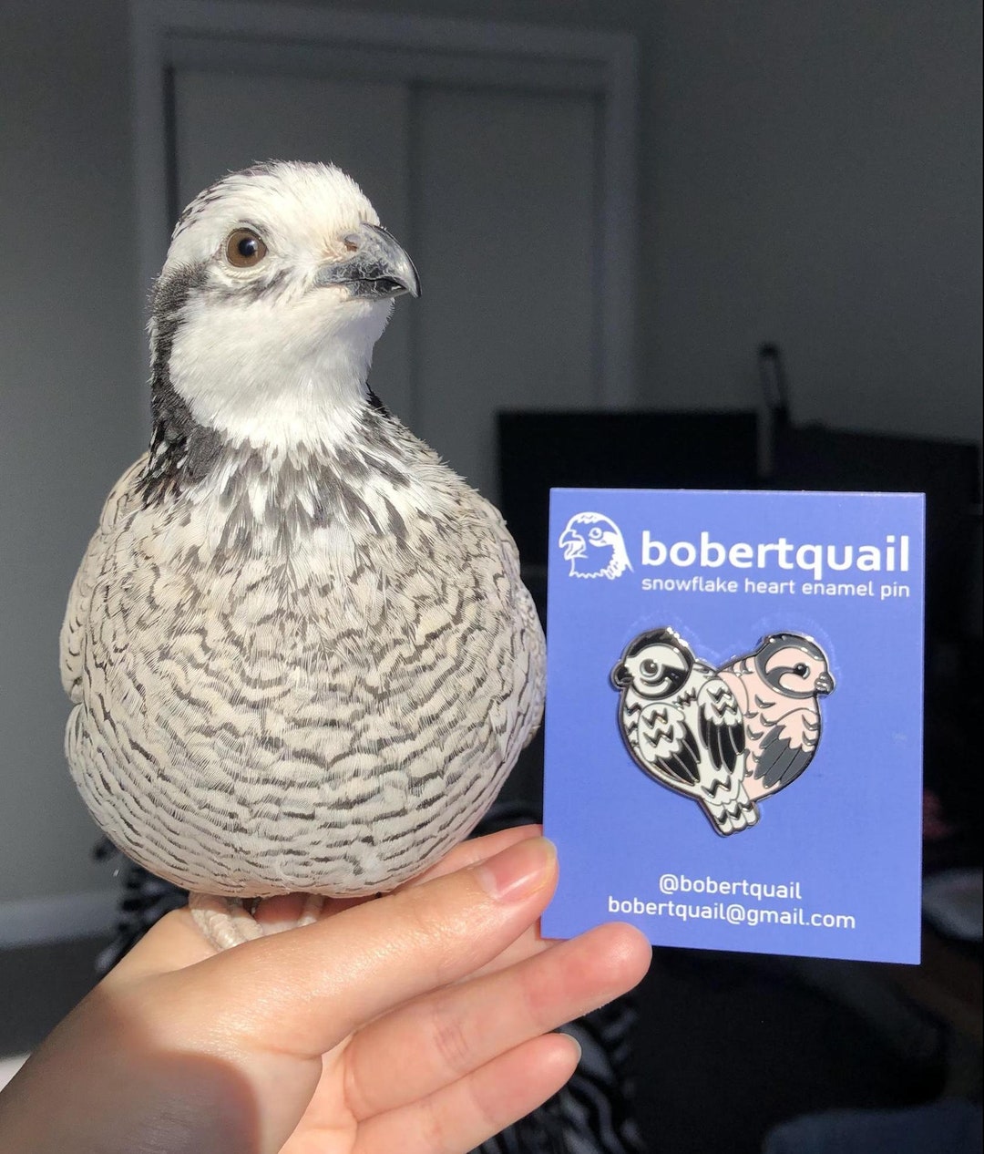 Snowflake Bobwhite Quail Couple Heart Shaped Enamel Pin - Etsy UK