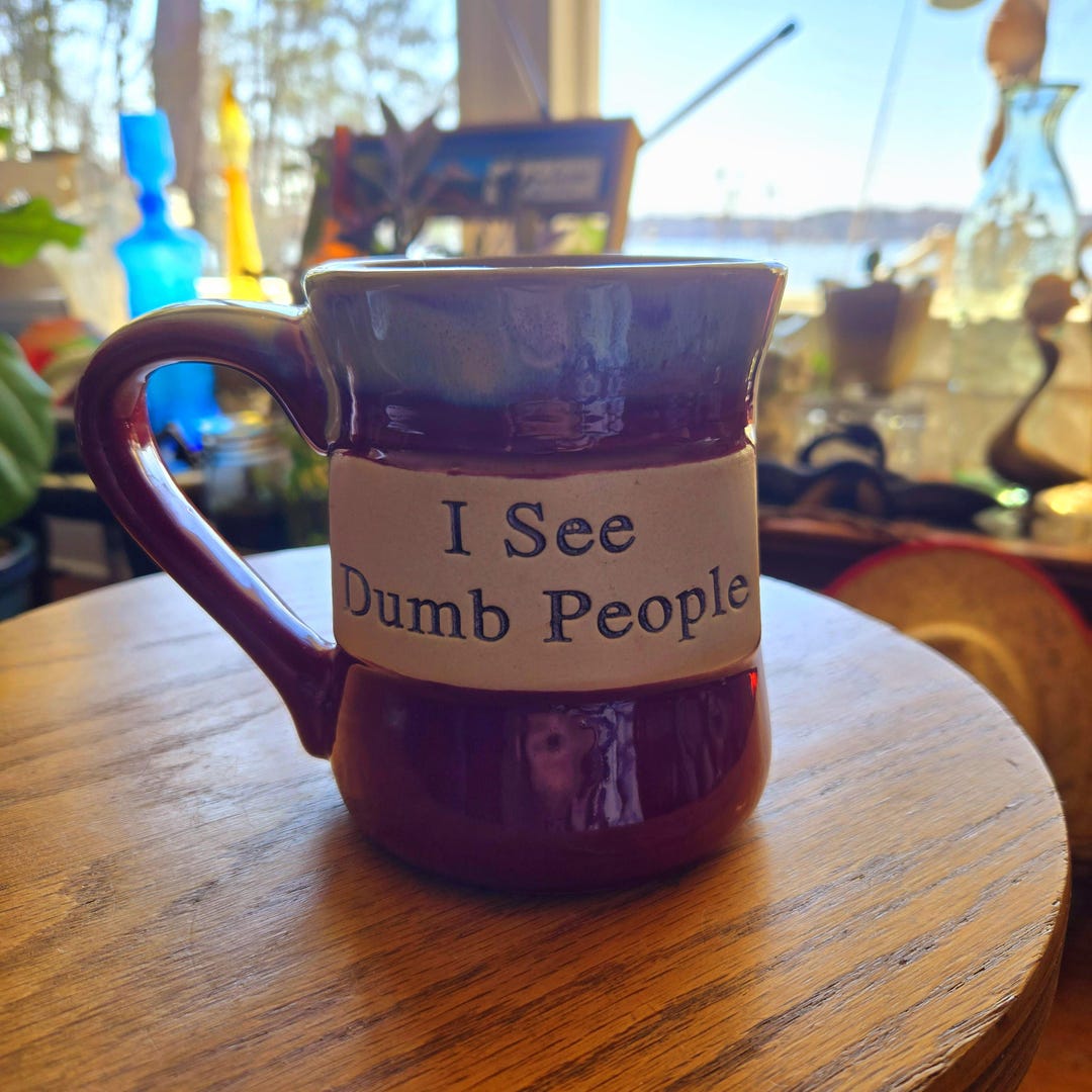 I See Dumb People Mug - Drip Glaze Pottery Coffee Cup Novelty LTD ...
