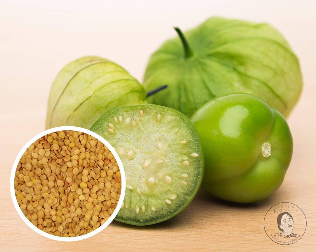 Tomatillo Verde, Green Husk Seeds, Heirloom Non-gmo (200+ Seeds) - Etsy