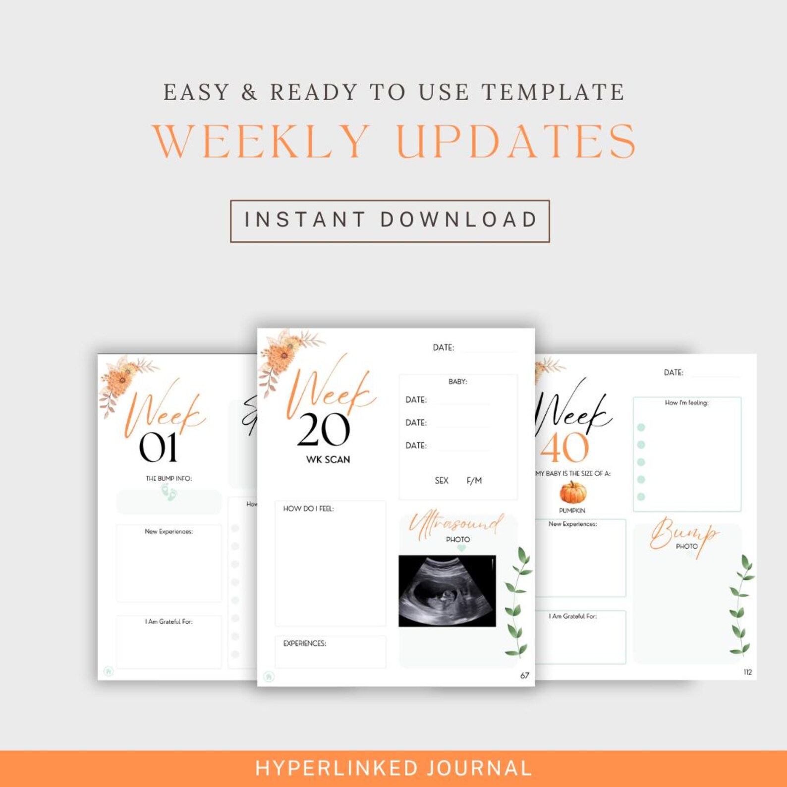 Digital Pregnancy Journal|printable Pdf Pregnancy Tracker - Etsy