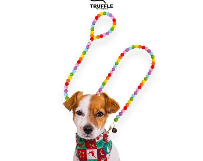 Boujee Dog Leash - Multi Colored Beaded - Handmade - Etsy