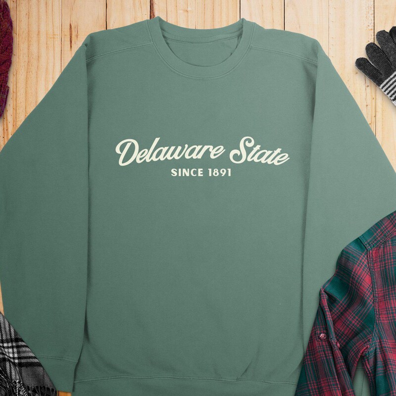 Delaware State University - Etsy
