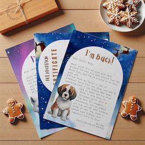 Elf Pet Arrival Letter Certificate Bundle Printable Canva Editable ...