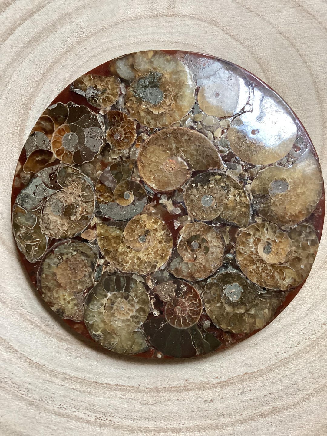 Ammonite Fossil Sphere L Ammonite Crystal Sphere L Home Decoration L ...