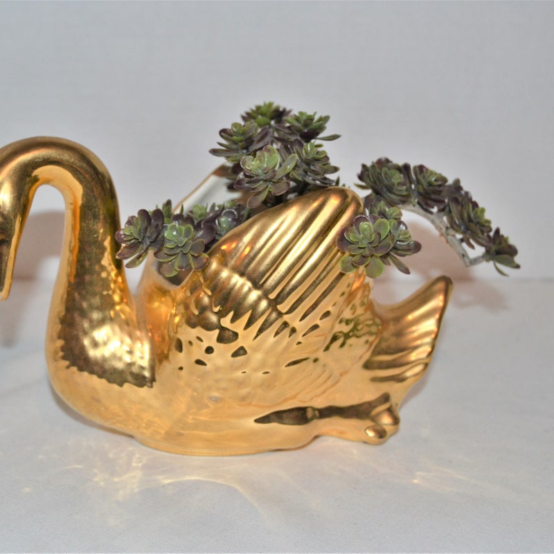 Swan Soap Dish - Etsy