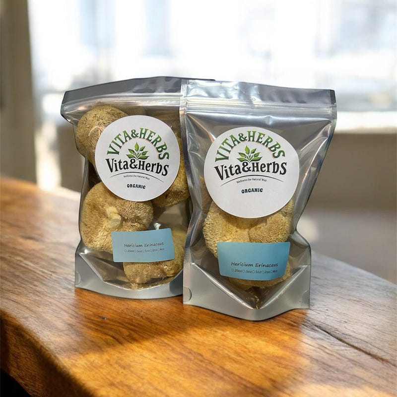 Lions mane mushroom kits - Etsy México