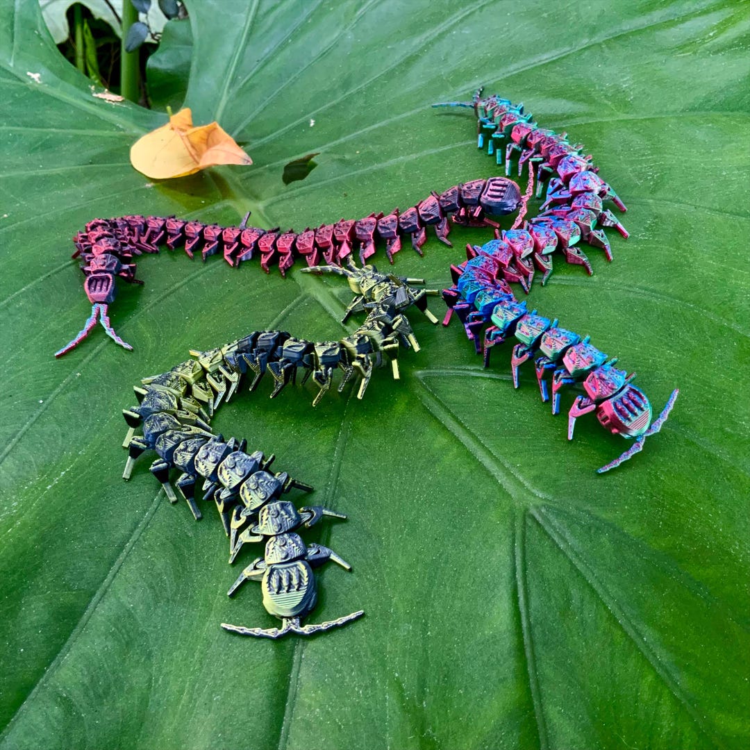 3D Printed Articulated Centipede, Multi-coloured Flexible Fidget Toy ...