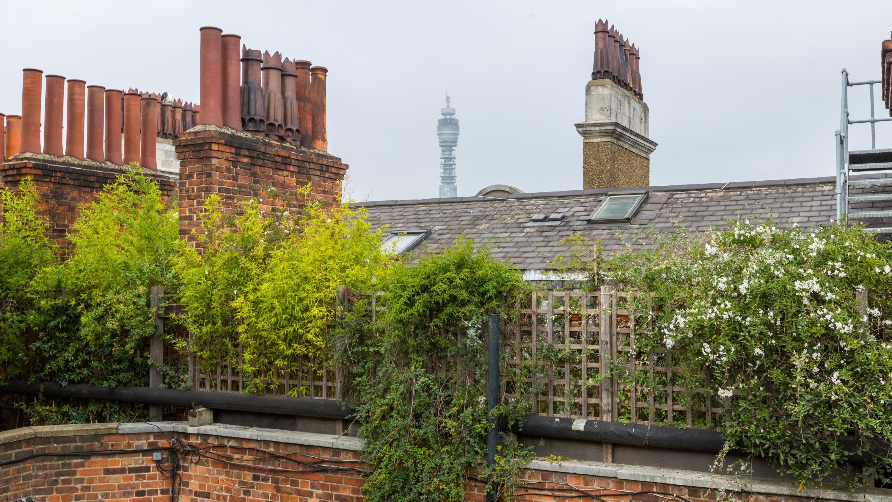 Over 100 Virtual Backgrounds | Zoom | Google Meet Backgrounds | Digital ...