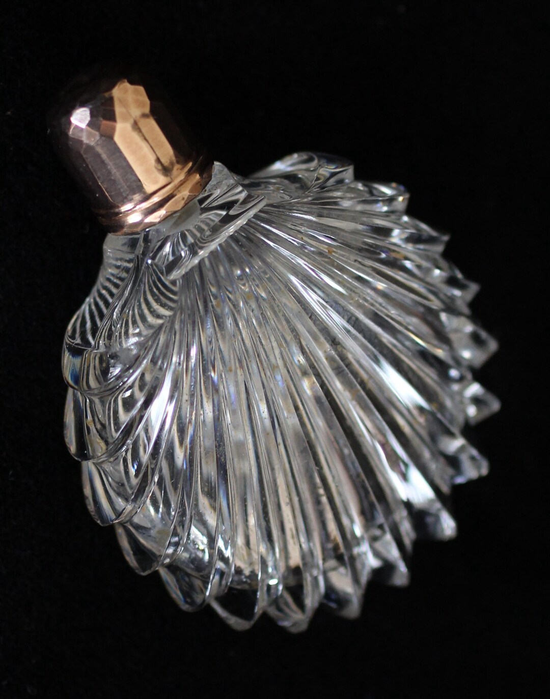 Early 19th Century Shell Shaped Perfume Bottle - Etsy