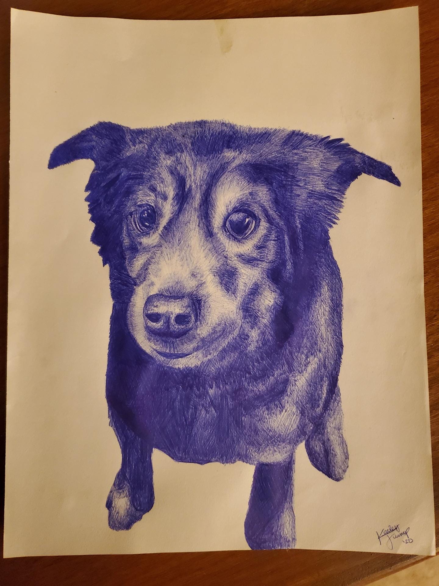 Custom Bal Point Pen Portrait Drawing | Personalized Art From Your ...