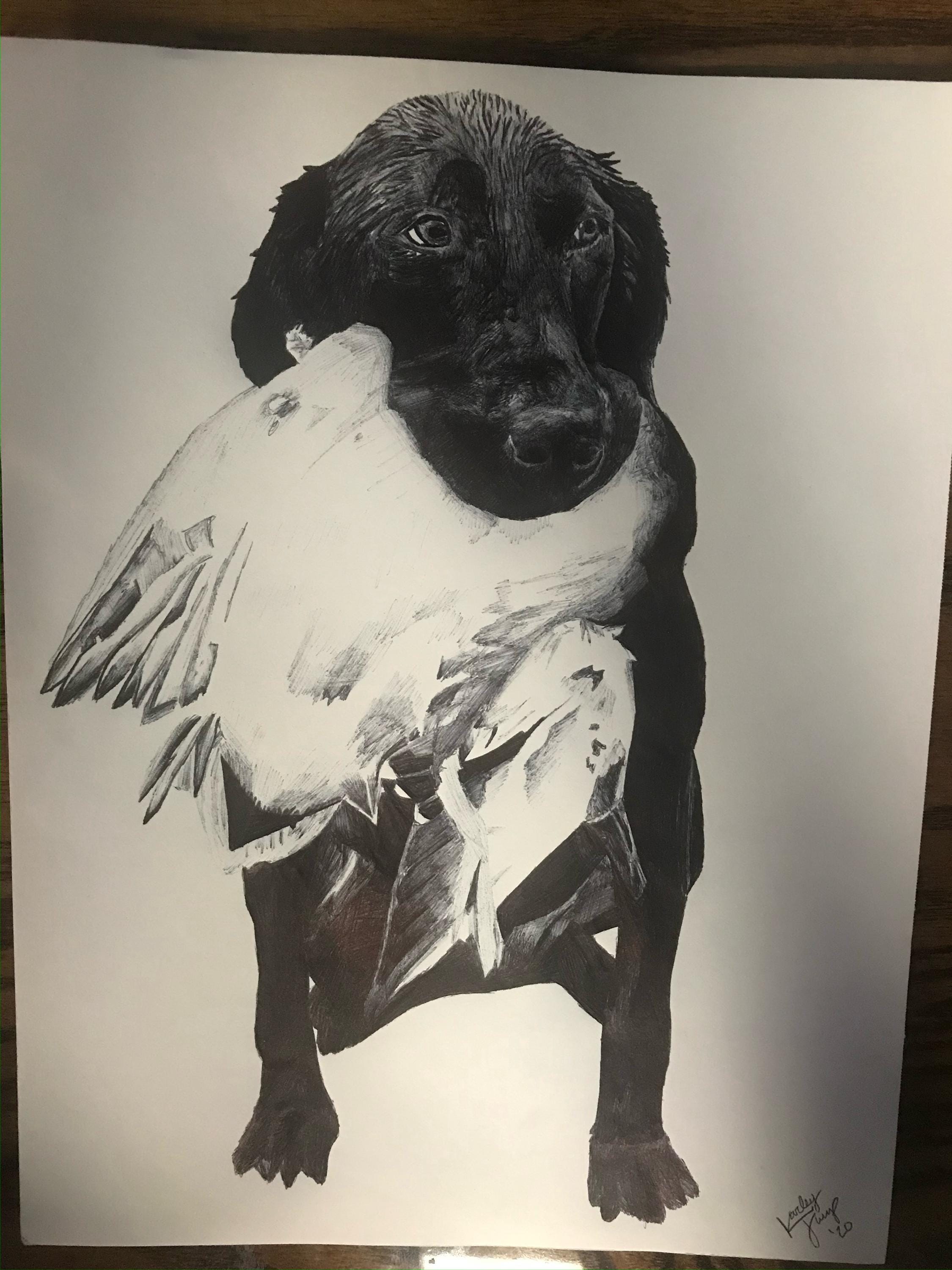 Custom Bal Point Pen Portrait Drawing | Personalized Art From Your ...