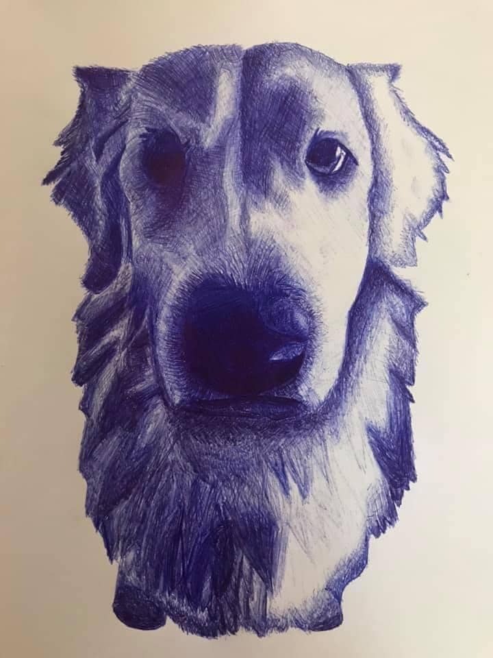 Custom Bal Point Pen Portrait Drawing | Personalized Art From Your ...