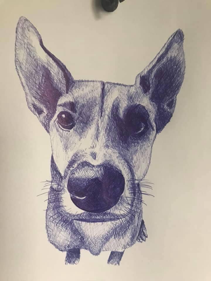 Custom Bal Point Pen Portrait Drawing | Personalized Art From Your ...