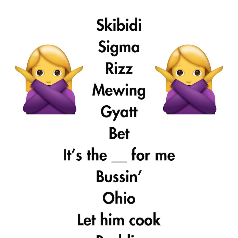 Sigma Ohio Skibidi Rizz - Etsy