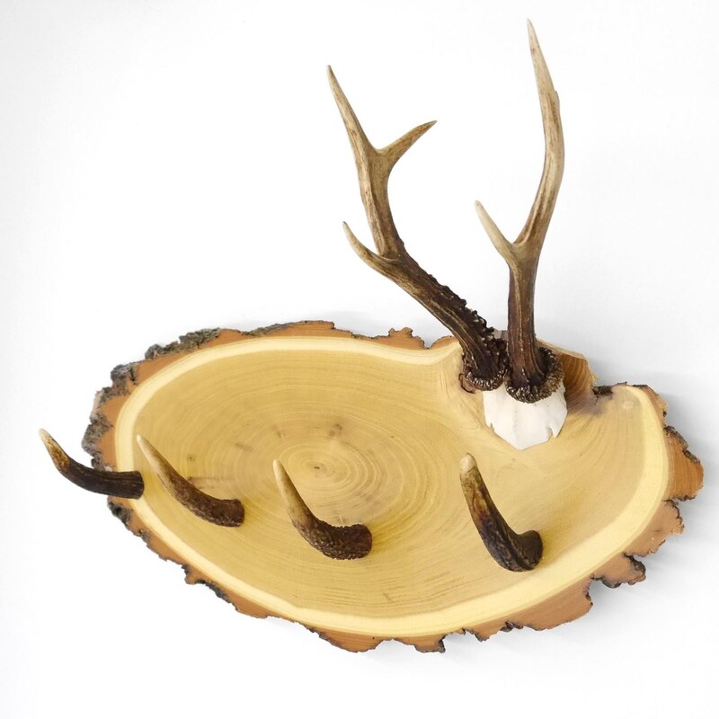 Antler Coat Rack - Etsy