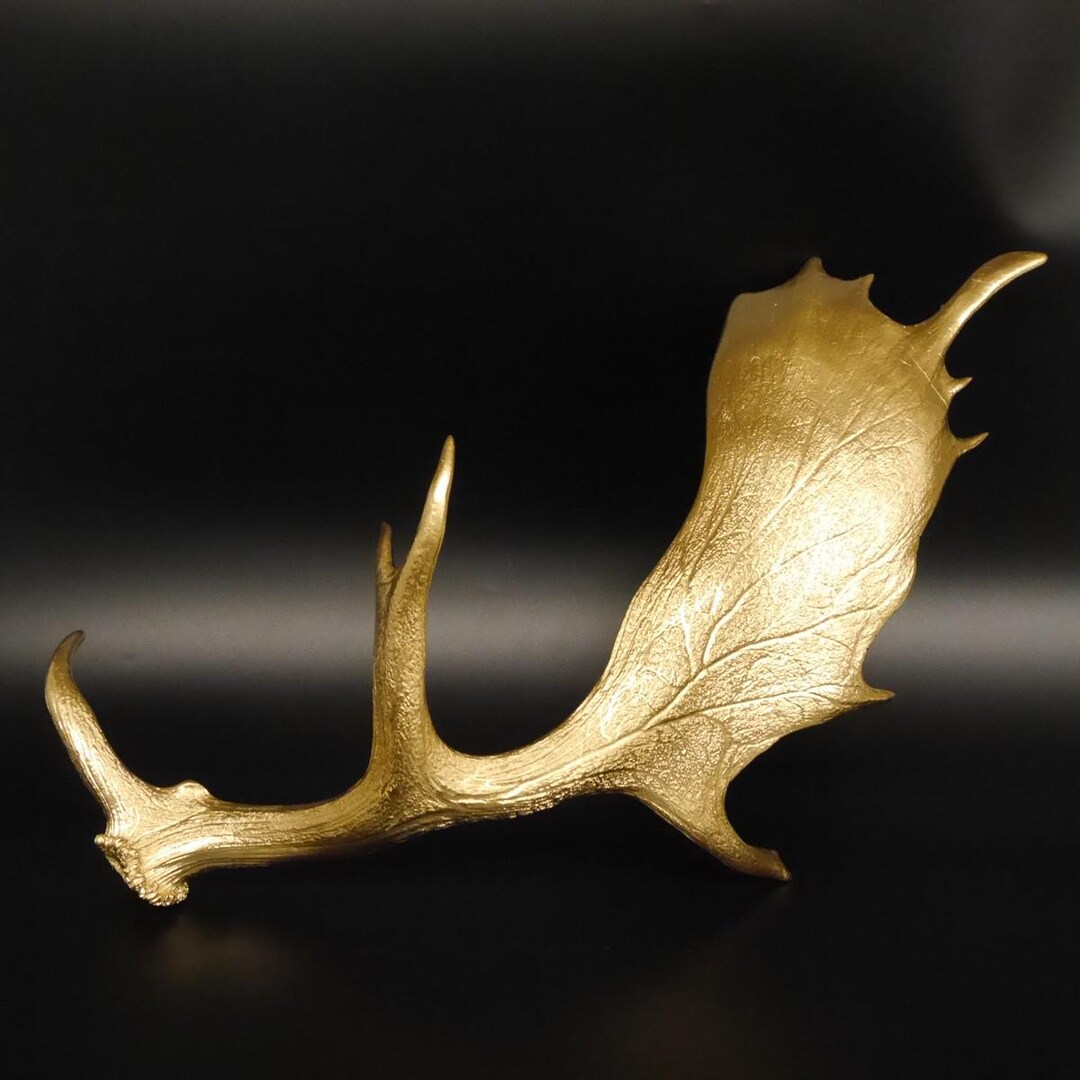 GOLD Fallow Deer Antler - Gift - Christmas - Crafts - Decoration GTK73 ...