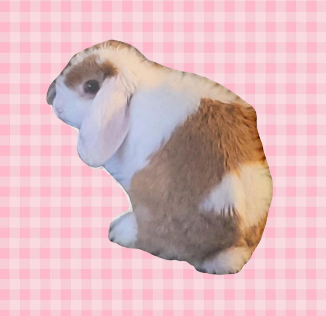 Adorable Yamyam the Holland Lop Bunny Shaped Animal Double Side Throw ...