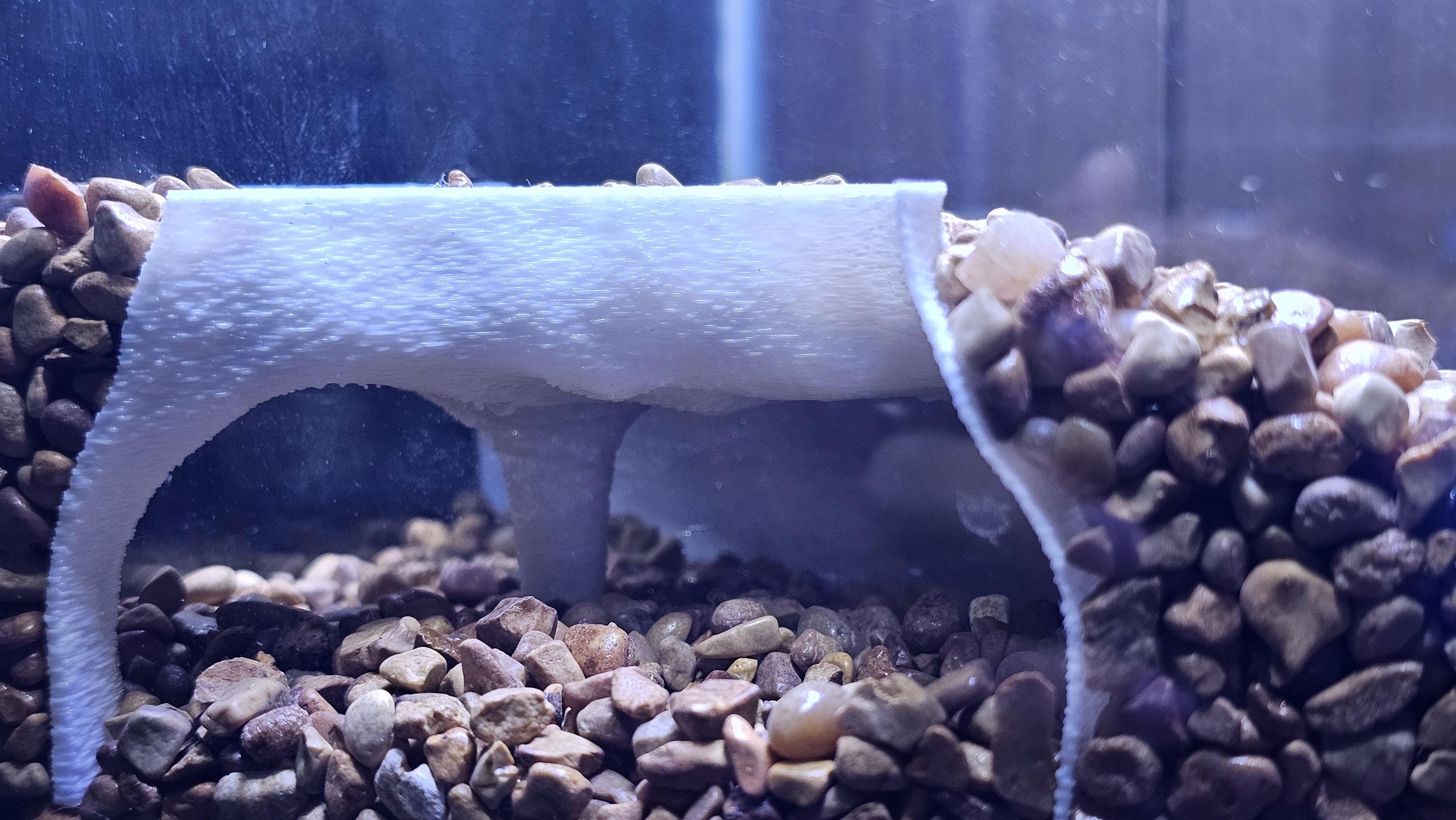 3D Printed Aquarium Cave – Dual Tunnel Fish & Shrimp Hideout | Made ...