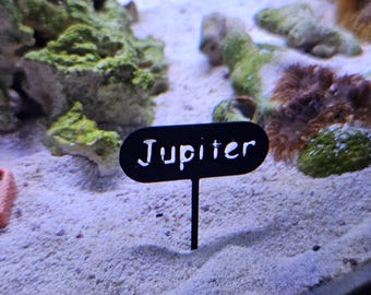 Aquariums & Tank Decor - Etsy