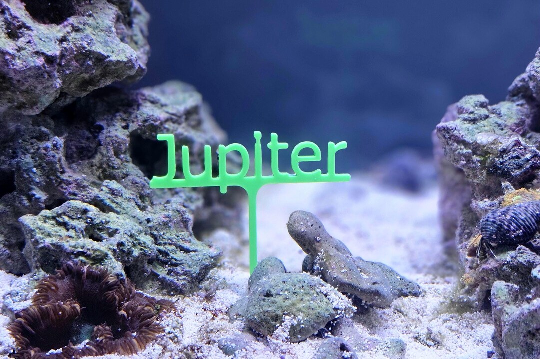 3D Printed Name Tag | Personalize Your Fish Tank - or Any of Your Pets ...