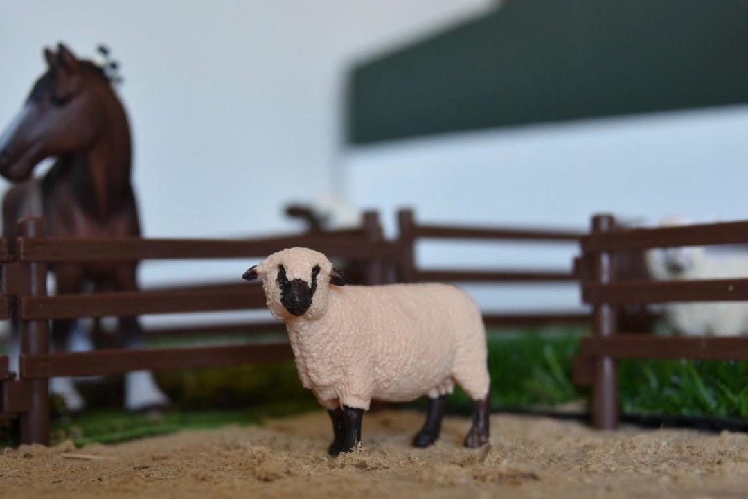 Toy Sheep, Shropshire Realistic Farm Animal, Plastic, Pretend Play ...
