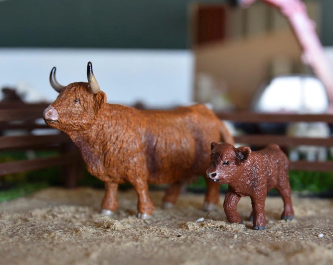 Highland Cow and Calf, Realistic Toy Cow Set, Scottish UK, Plastic ...