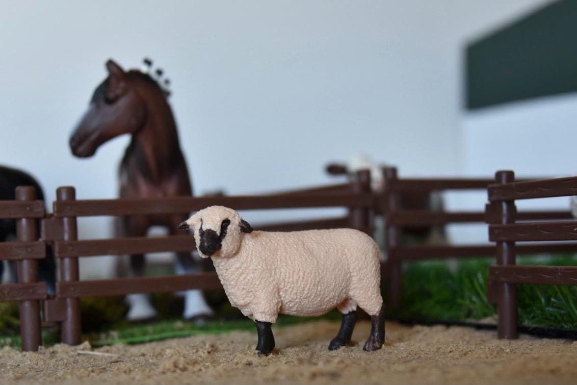 Toy Sheep, Shropshire Realistic Farm Animal, Plastic, Pretend Play ...