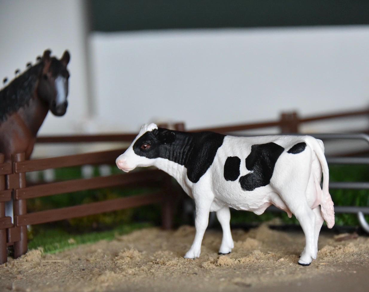 Black and White Dairy Cow and Calf, Holstein Friesian Toy Set, UK ...