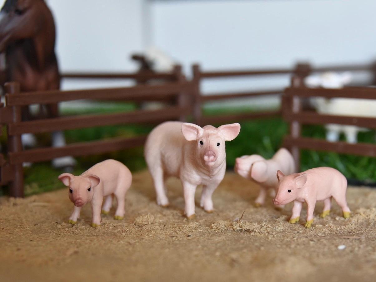 Pig Toy Set | Sow and Piglets | Pink Pigs | Farm | Pretend Play ...