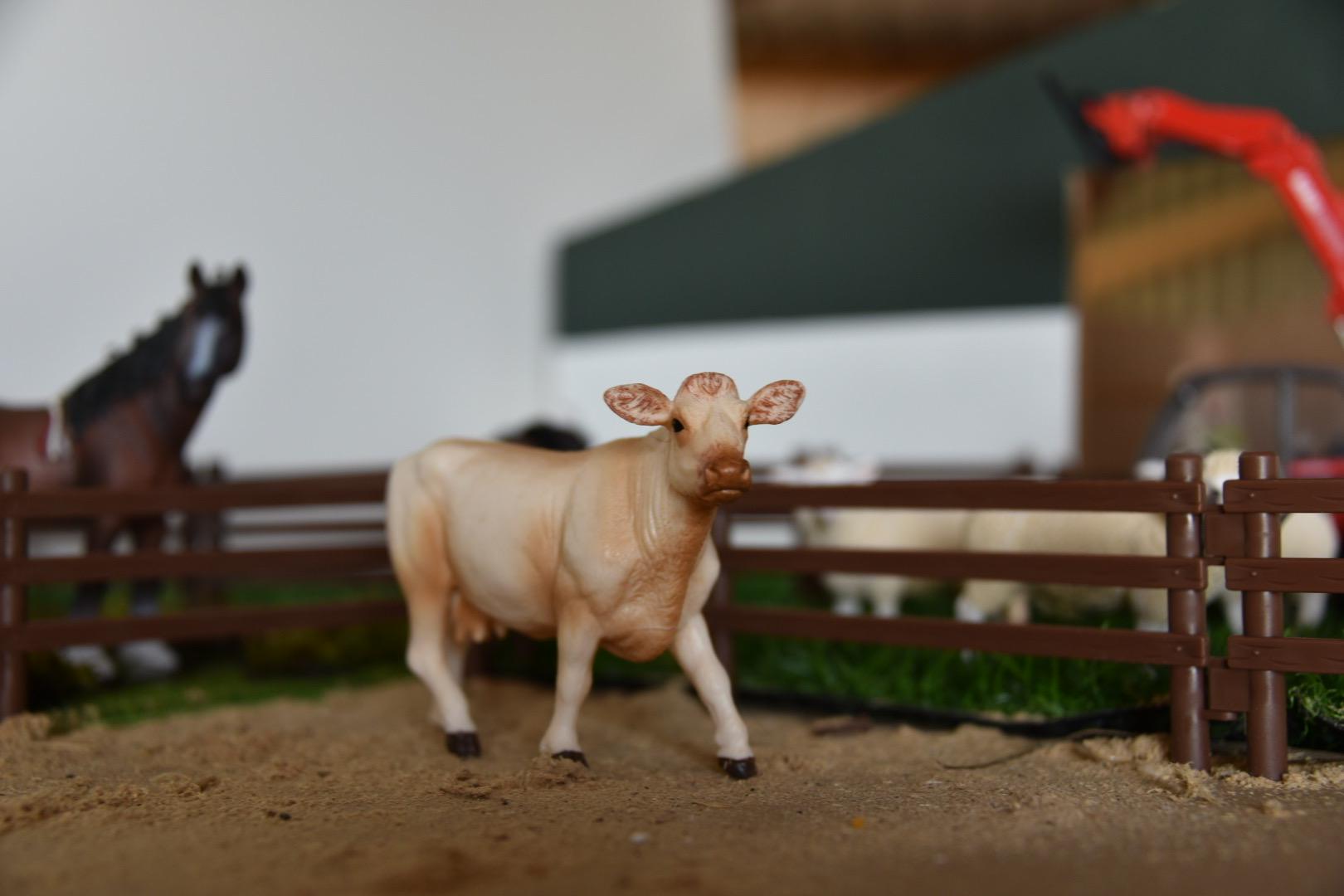 Charolais White Cow and Calf, Realistic Cow Toy Set, UK, Plastic, Kids ...