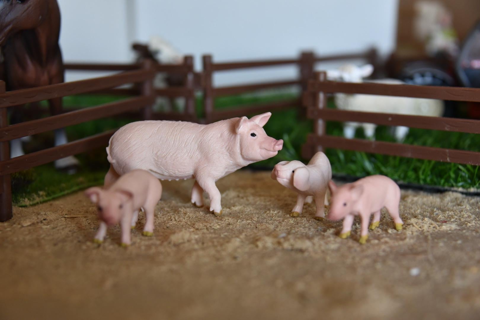 Pig Toy Set | Sow and Piglets | Pink Pigs | Farm | Pretend Play ...
