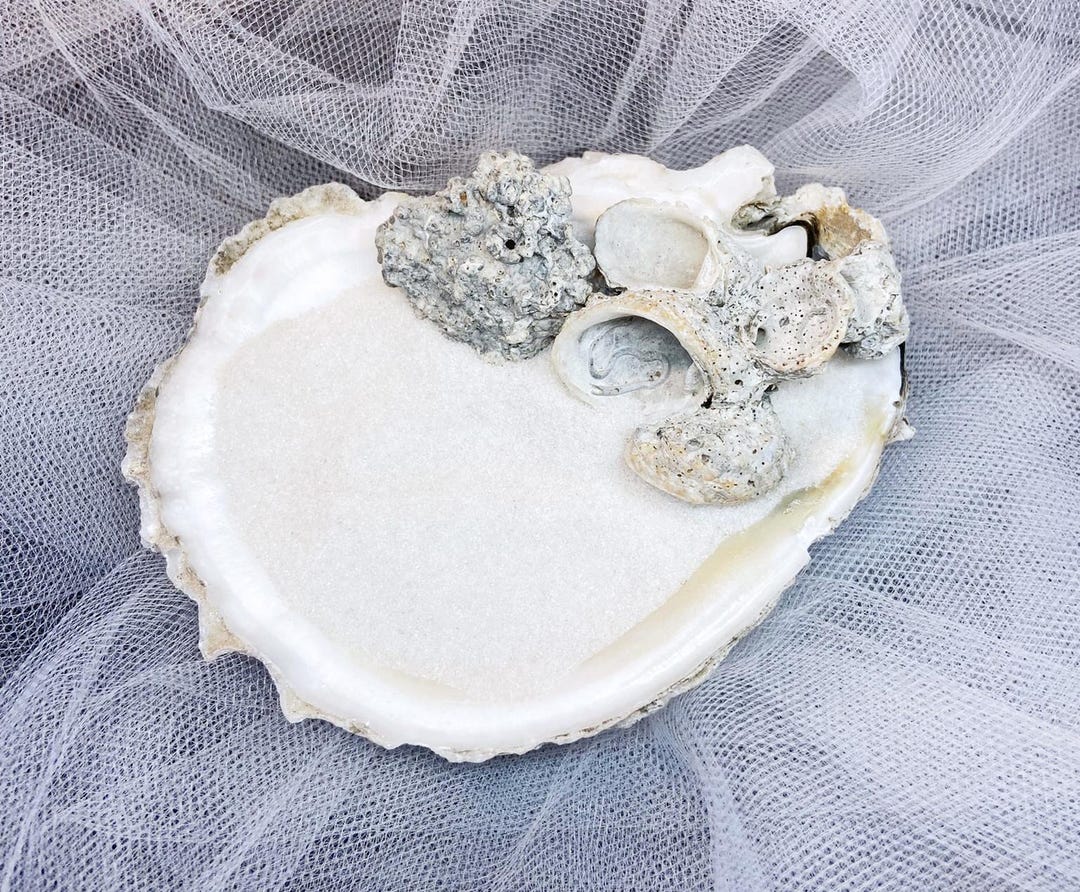 Aquarium Sand Divider Deco/live Shrimp/beach Sand Florida/wedding Sand ...