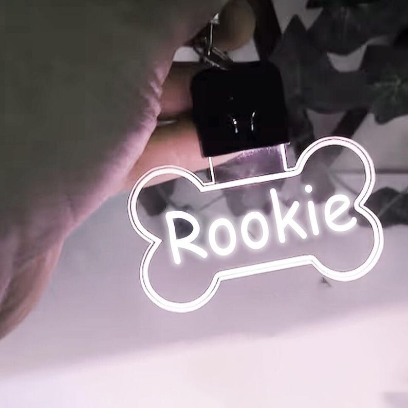 Personalised LED Dog Coller Bone Shape Rechargeable Tag, Light up Dog ...