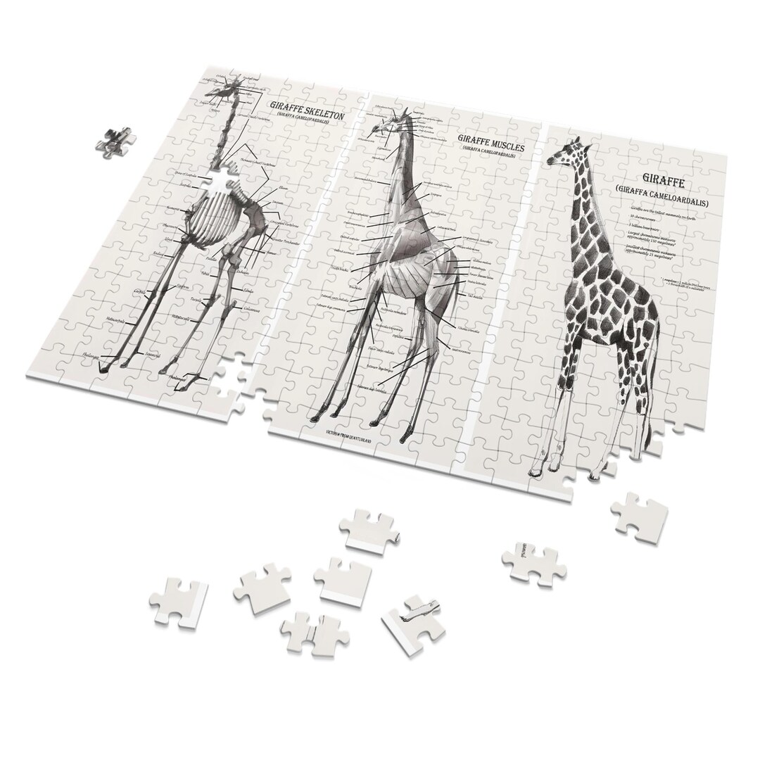 Giraffe Anatomy, Muscles, Skeleton, Jigsaw Puzzle 252-piece, Vintage ...