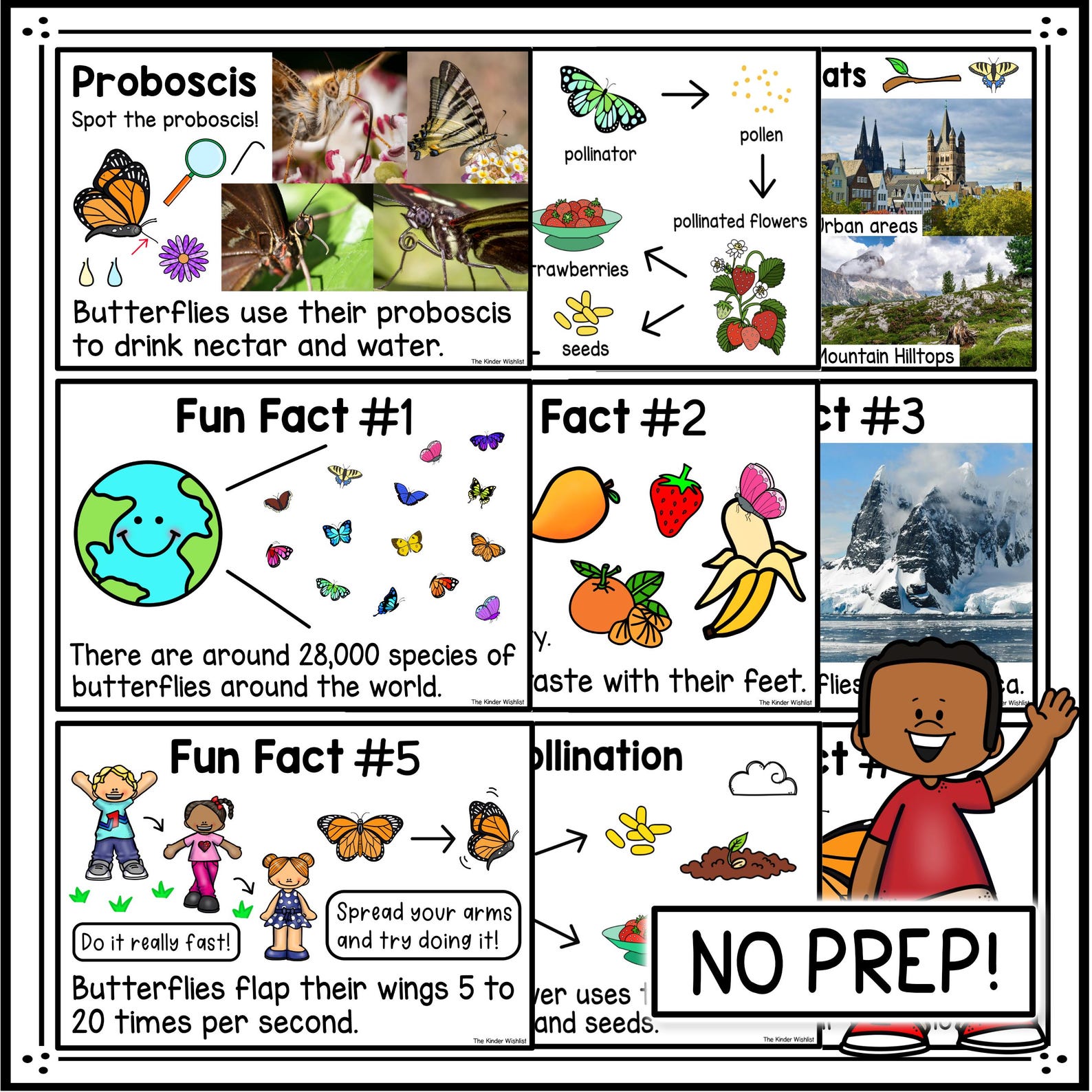 Butterfly Posters | All About Butterflies | Preschool Kindergarten ...