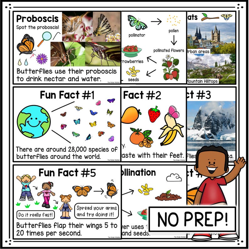 Butterfly Posters | All About Butterflies | Preschool Kindergarten ...