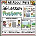 Pets Theme Posters | Preschool Lesson Slides | Unit Plan Activities ...