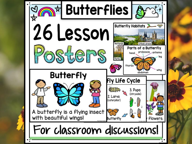 Butterfly Posters | All About Butterflies | Preschool Kindergarten ...