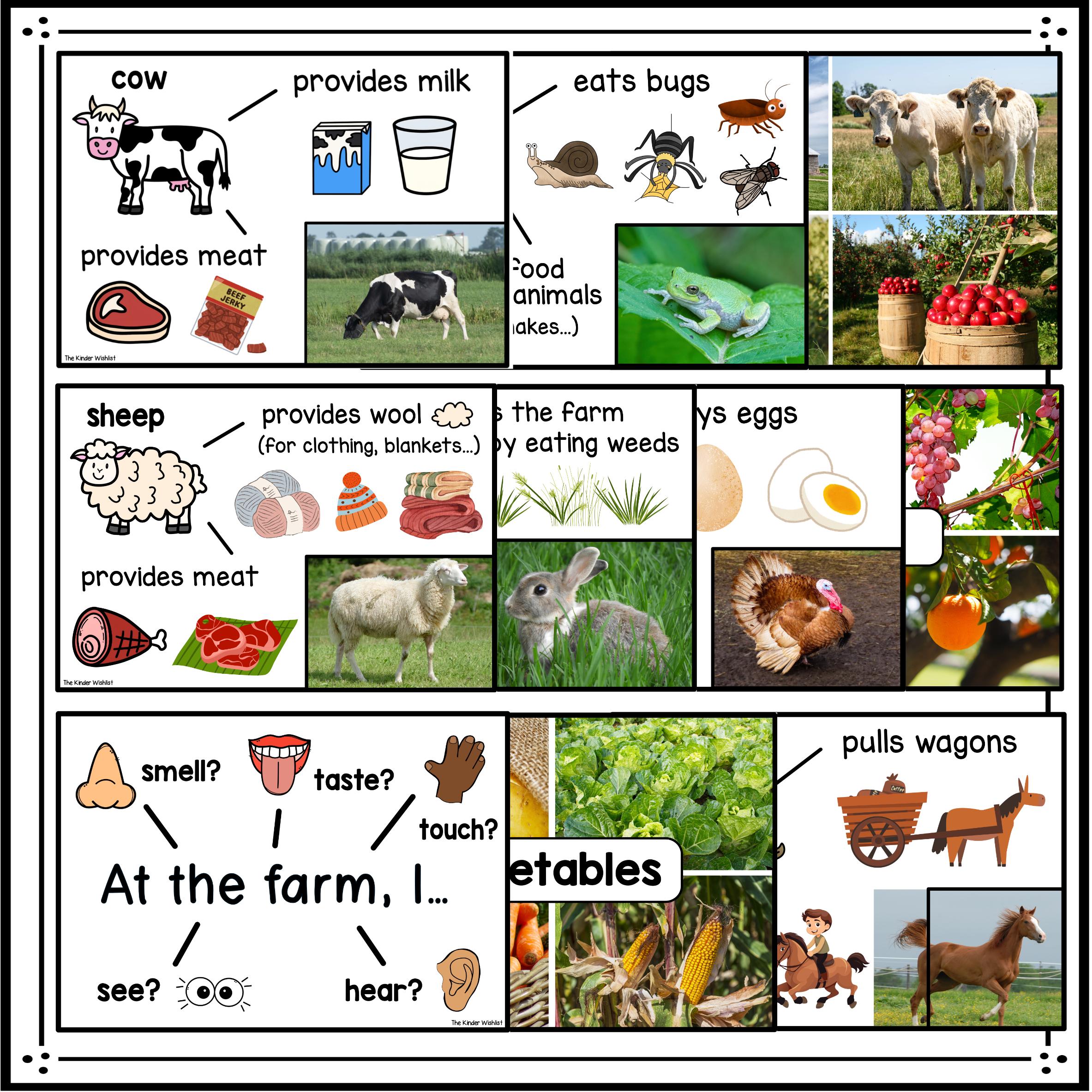 Farm Animals Lesson Posters | Preschool Kindergarten Lesson Plans ...