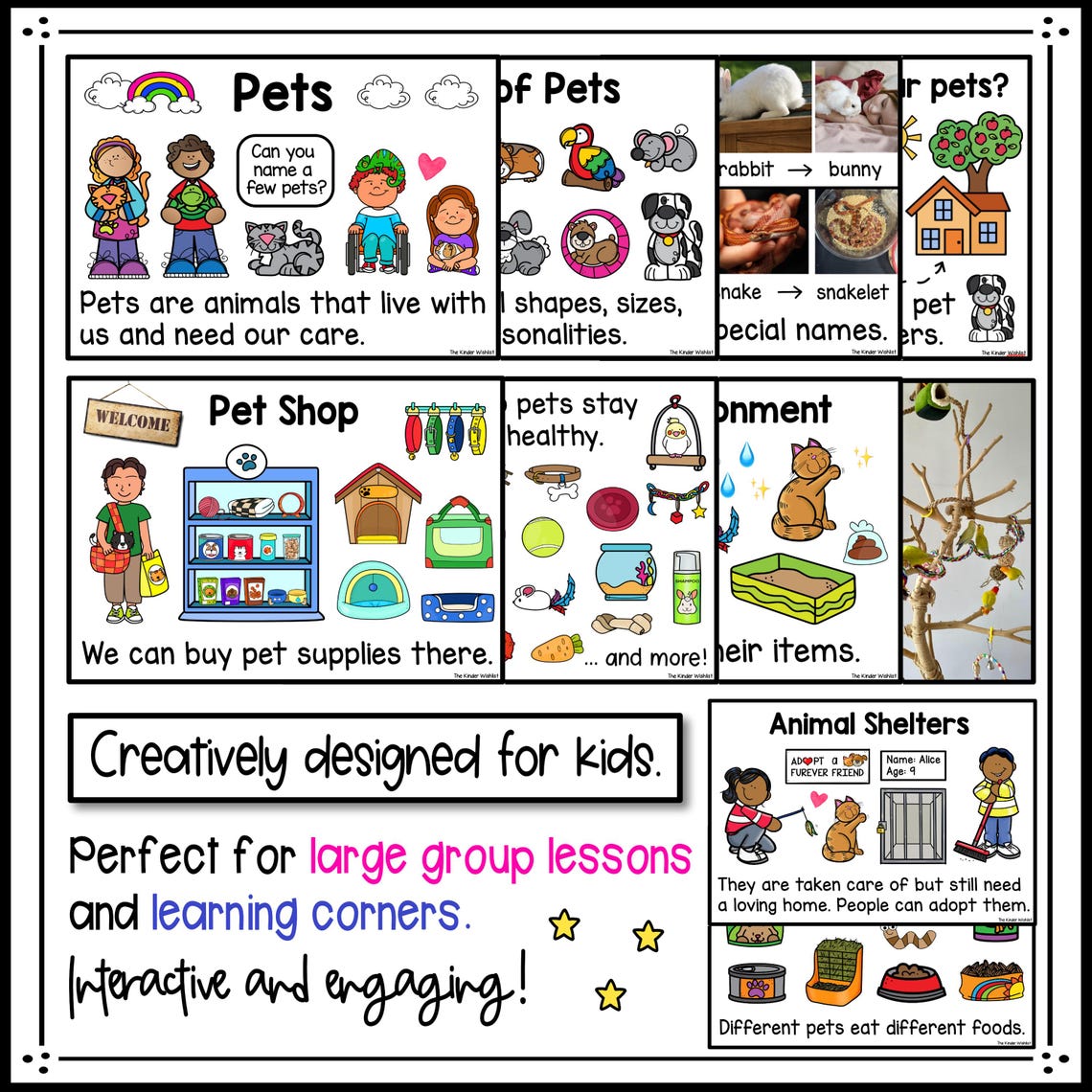 Pets Theme Posters | Preschool Lesson Slides | Unit Plan Activities ...