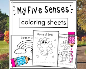 Five Senses Posters | NO PREP Teaching Resource | Lesson Plan | Kids ...