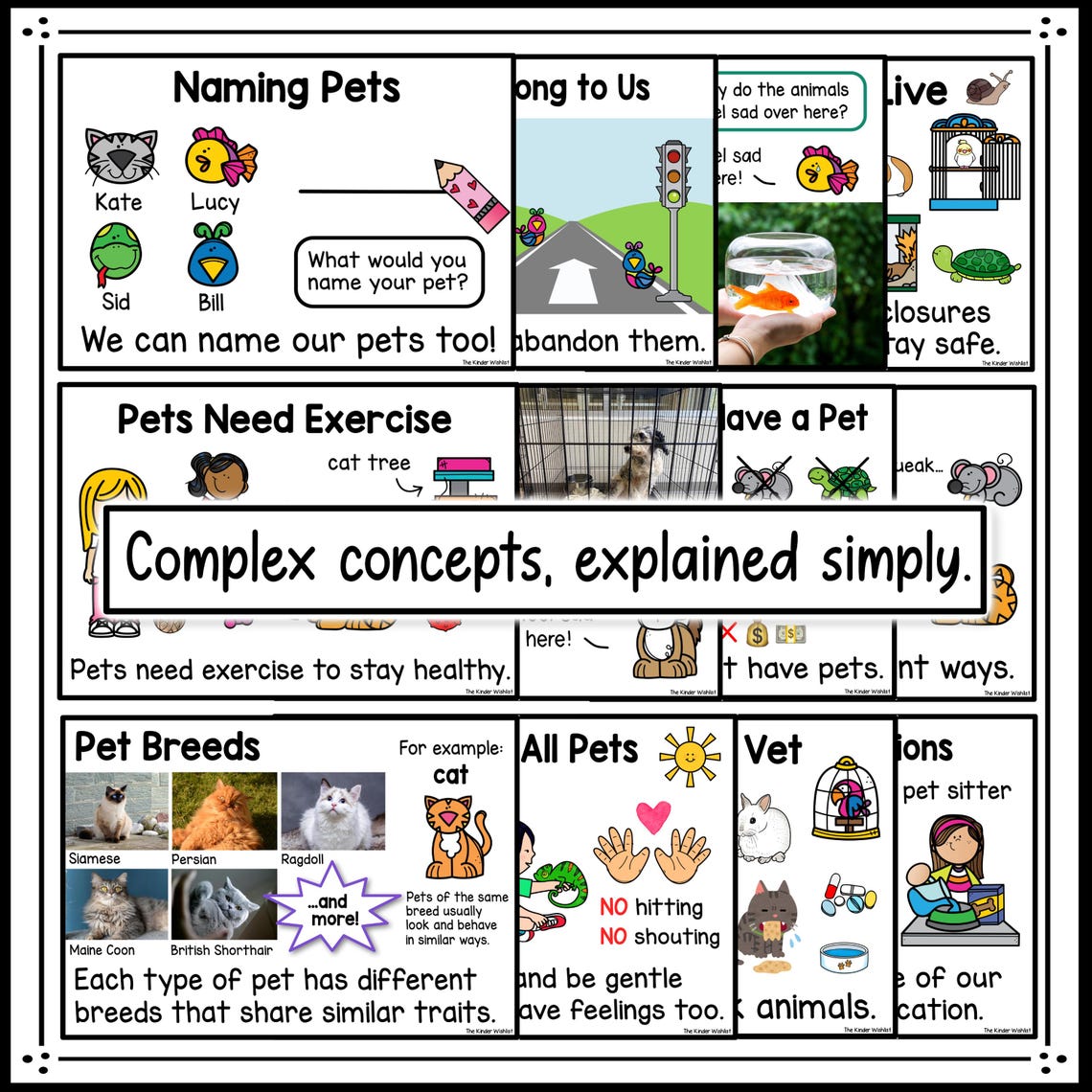Pets Theme Posters | Preschool Lesson Slides | Unit Plan Activities ...