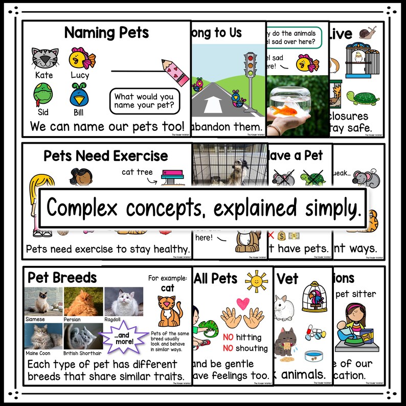 Pets Theme Posters | Preschool Lesson Slides | Unit Plan Activities ...
