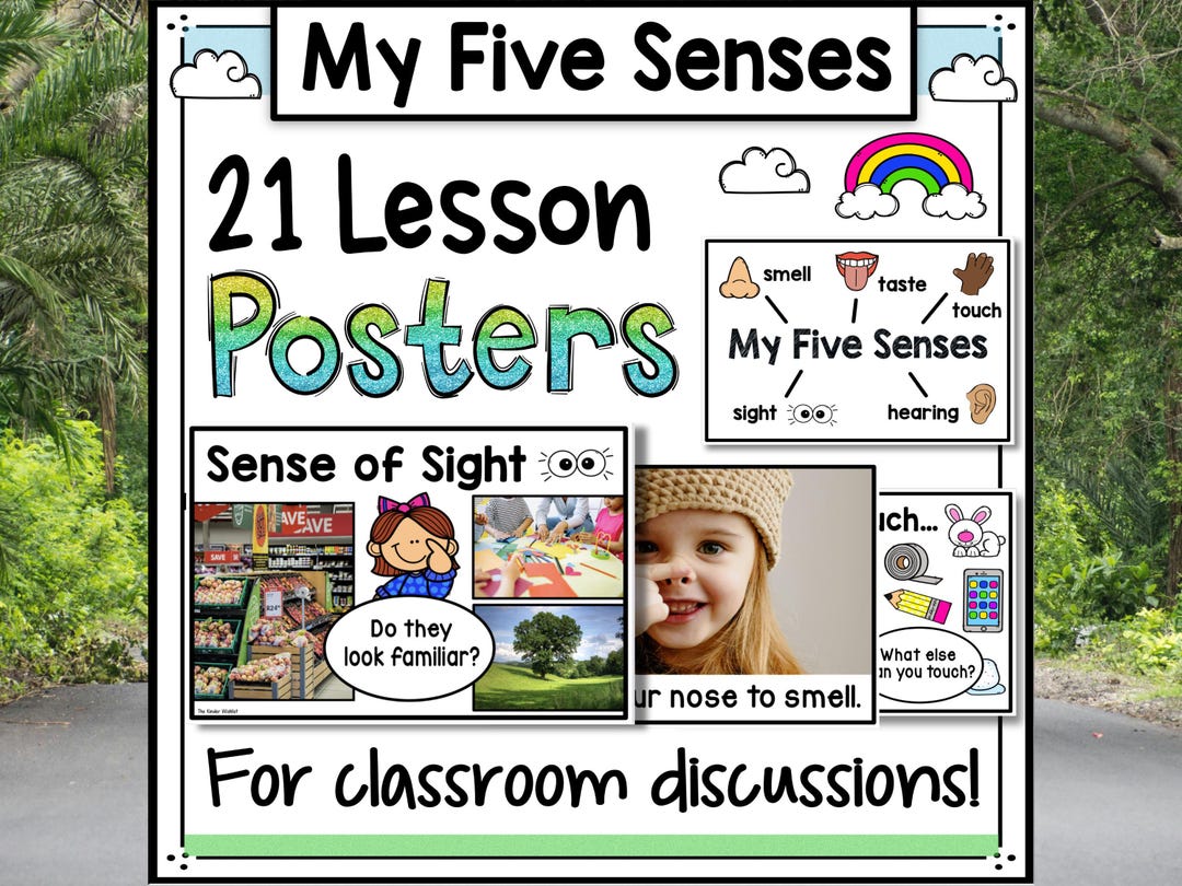 Five Senses Posters | NO PREP Teaching Resource | Lesson Plan | Kids ...