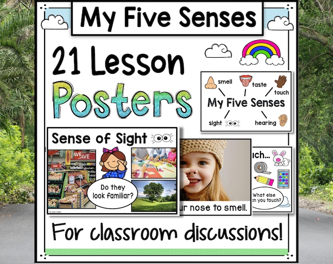 Five Senses Posters | NO PREP Teaching Resource | Lesson Plan | Kids ...