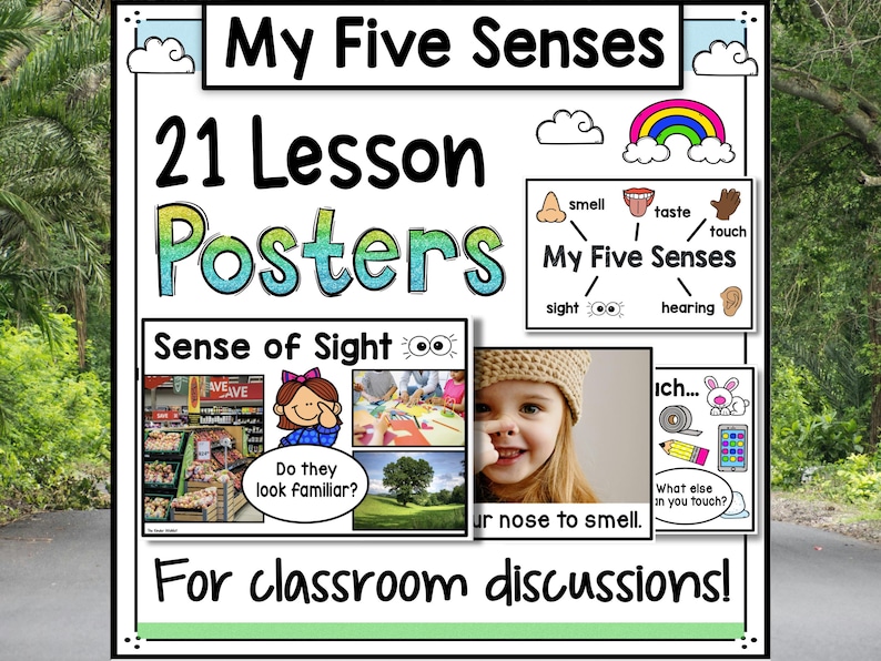 Five Senses Posters | NO PREP Teaching Resource | Lesson Plan | Kids ...