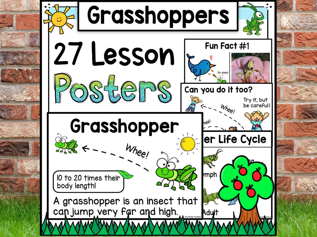Grasshoppers Posters | Preschool Kindergarten Lesson Plans | Slides ...