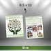 Family Reunion Program Template: Editable Keepsake Booklet (PDF ...