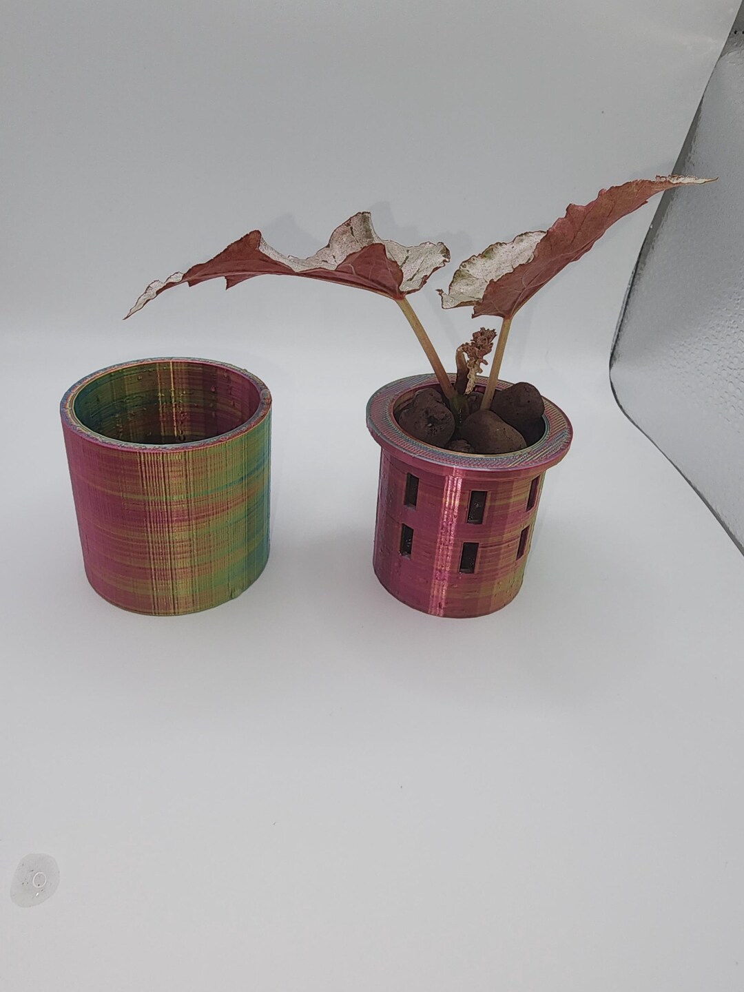 Semi-hydroponic Leca Planter: Succulent & Cutting Starter Pot - Etsy