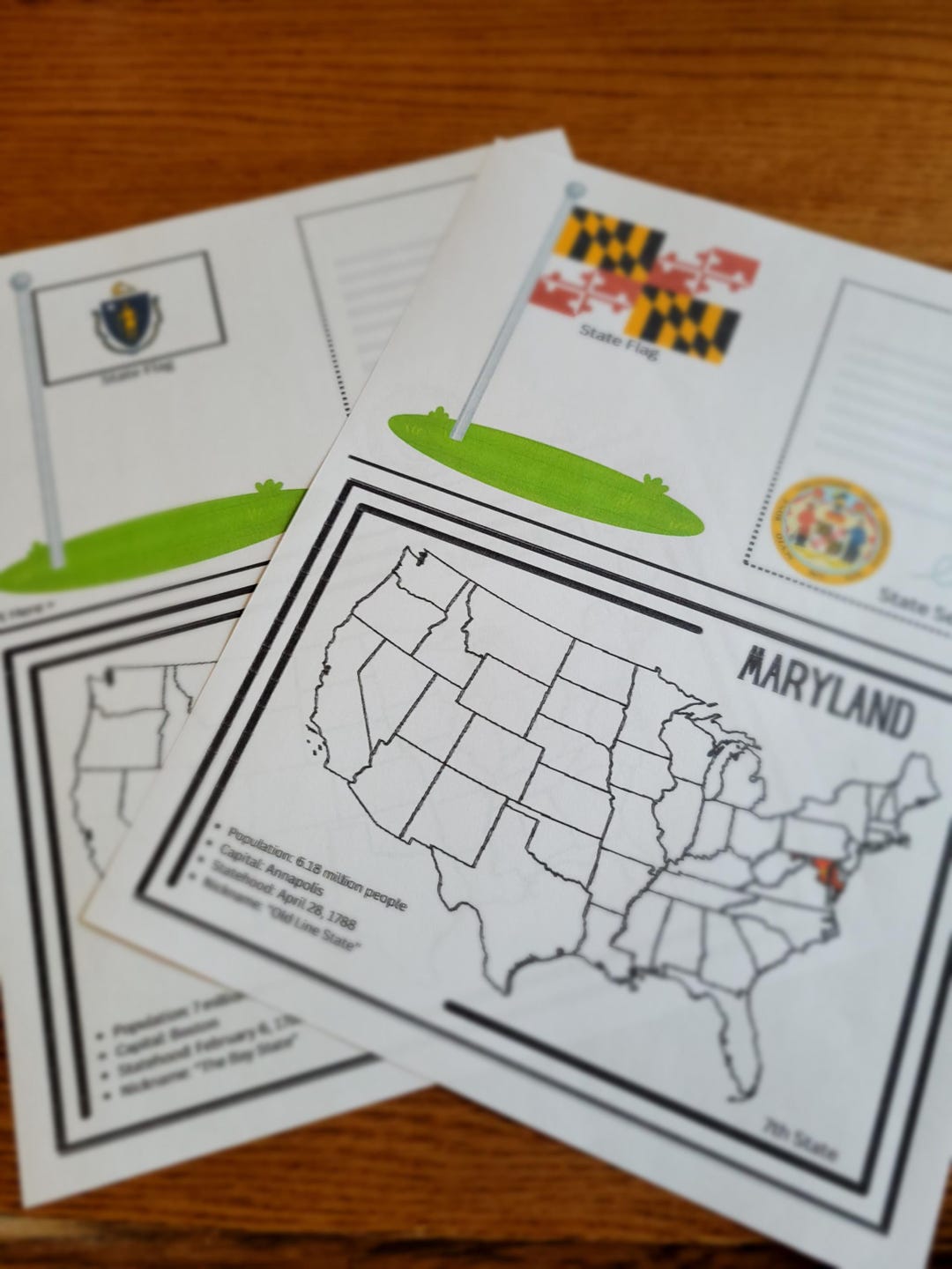 50 States Mini Book - Etsy